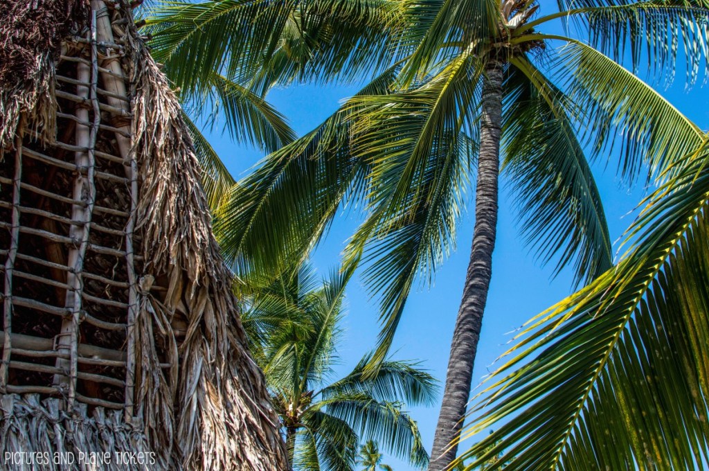 A Tiki Sanctuary – Pictures and Plane Tickets